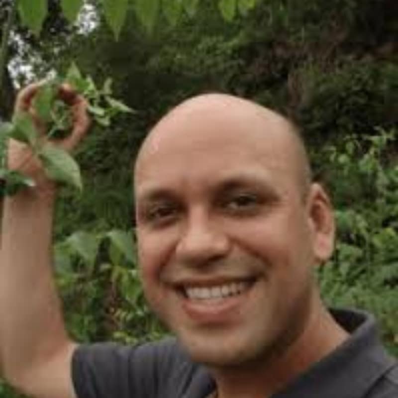 Traditional and Modern Pharmacognosy - Journal of Acupuncture ...